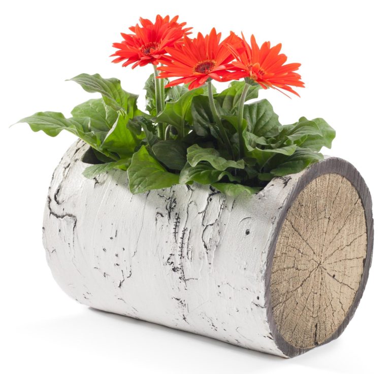 SURREAL 13" Horizontal Birch Planter - TransNorth Ltd